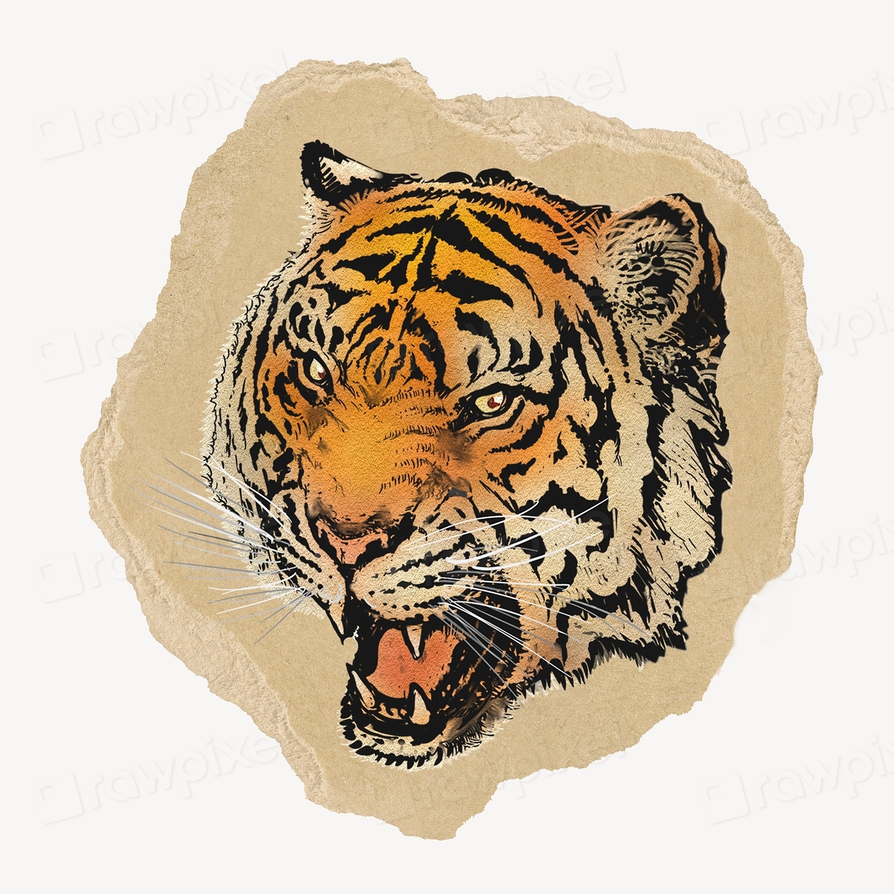 Roaring tiger sticker, ripped paper | Premium PSD - rawpixel