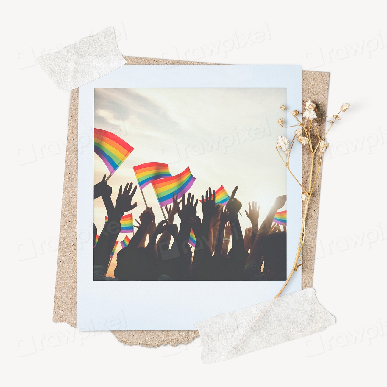 LGBTQ instant film frame, aesthetic | Free Photo - rawpixel