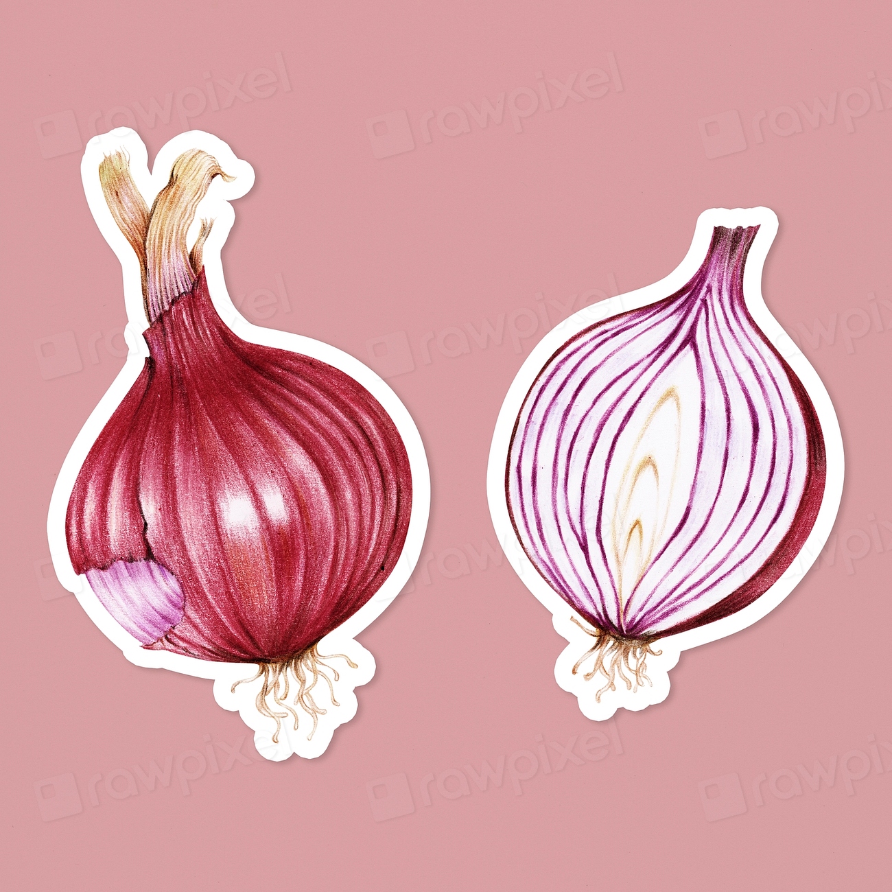 Organic food psd shallot drawing | Premium PSD - rawpixel