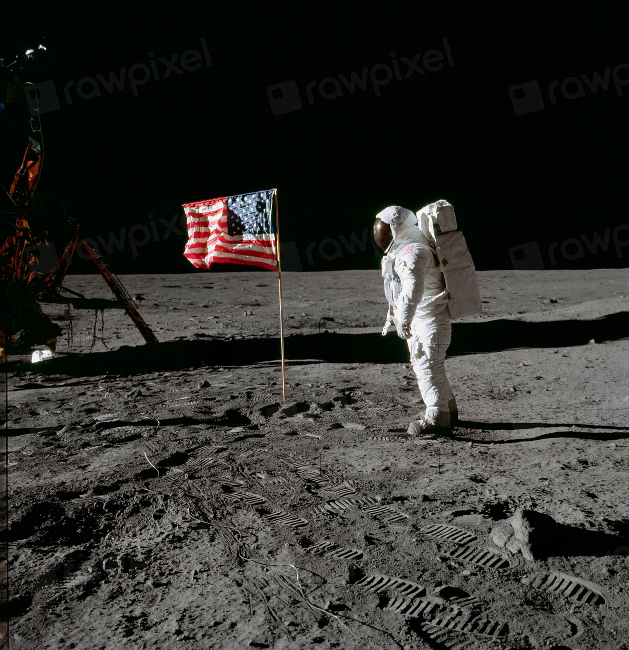 Astronaut Edwin E. Aldrin Jr. | Free Photo - rawpixel