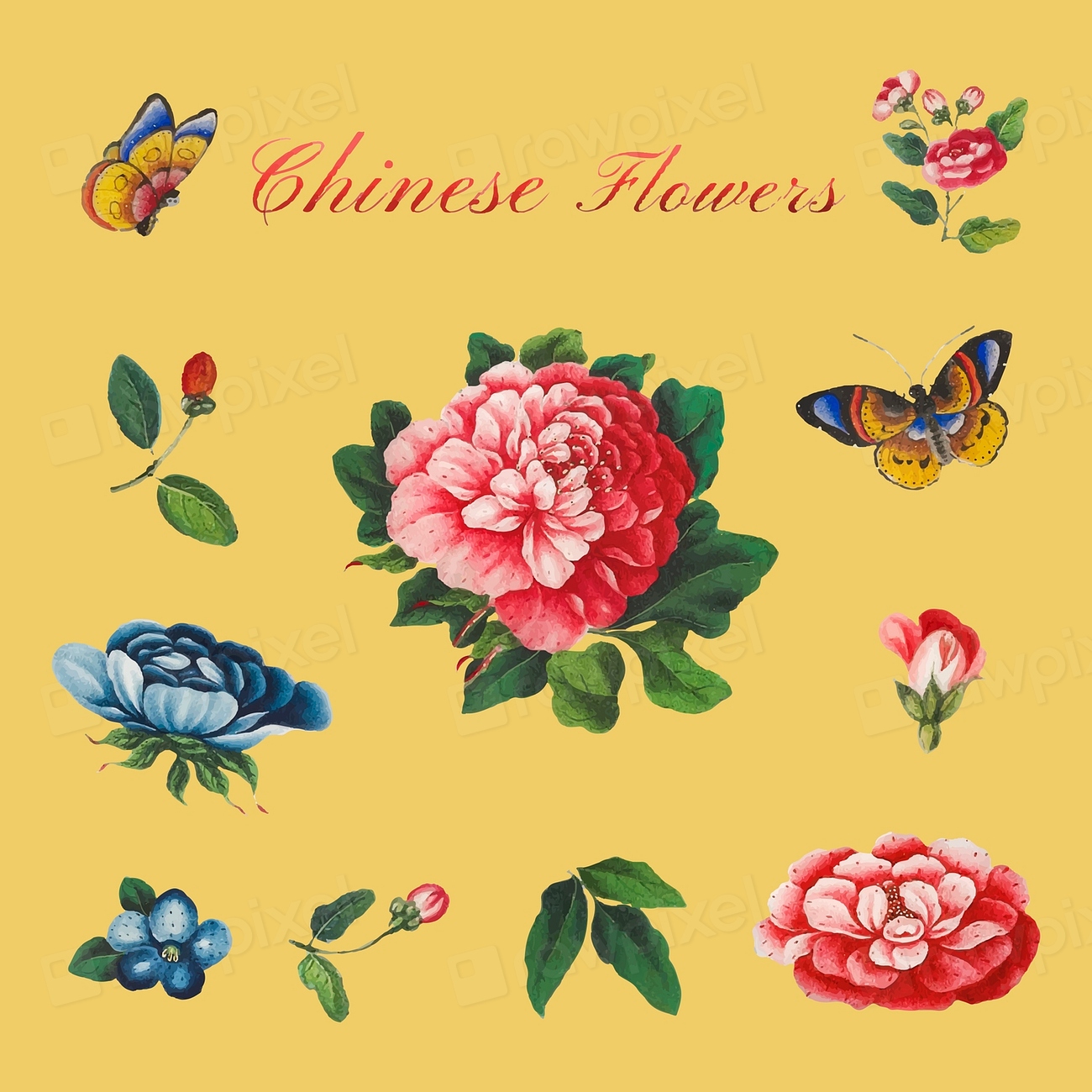 Vintage Chinese flowers set vector | Premium Vector - rawpixel