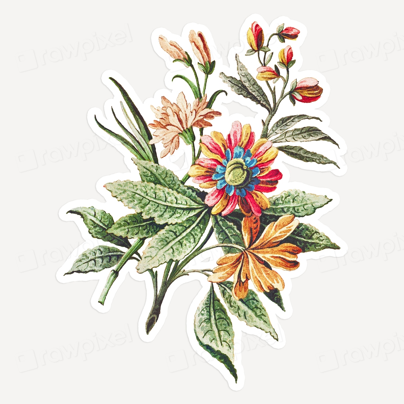 Vintage colorful flower sticker white | Premium PSD - rawpixel