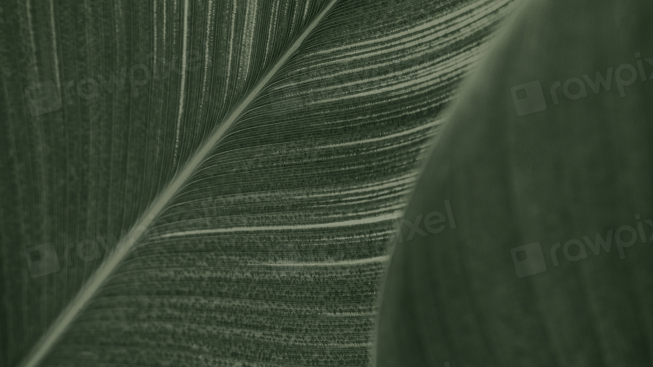 Leaf pattern desktop background wallpaper, | Premium Photo - rawpixel
