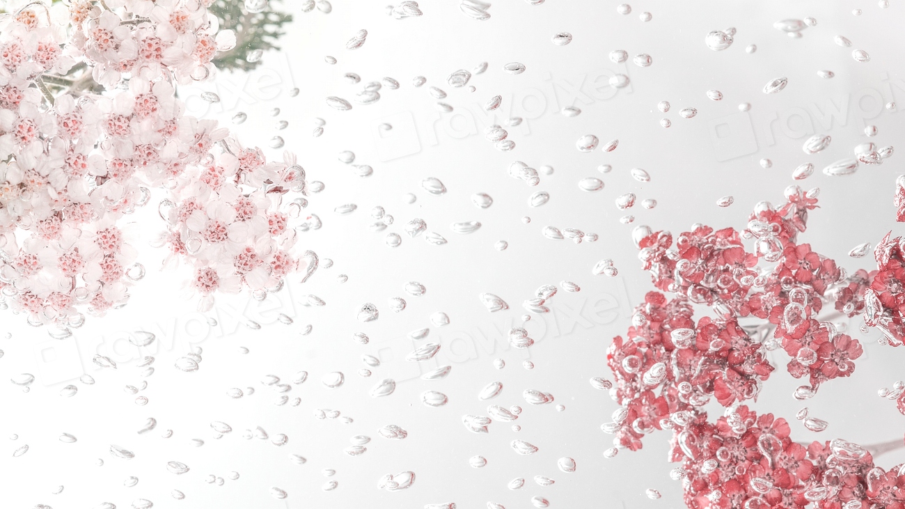 Flower desktop wallpaper background, pink | Premium Photo - rawpixel