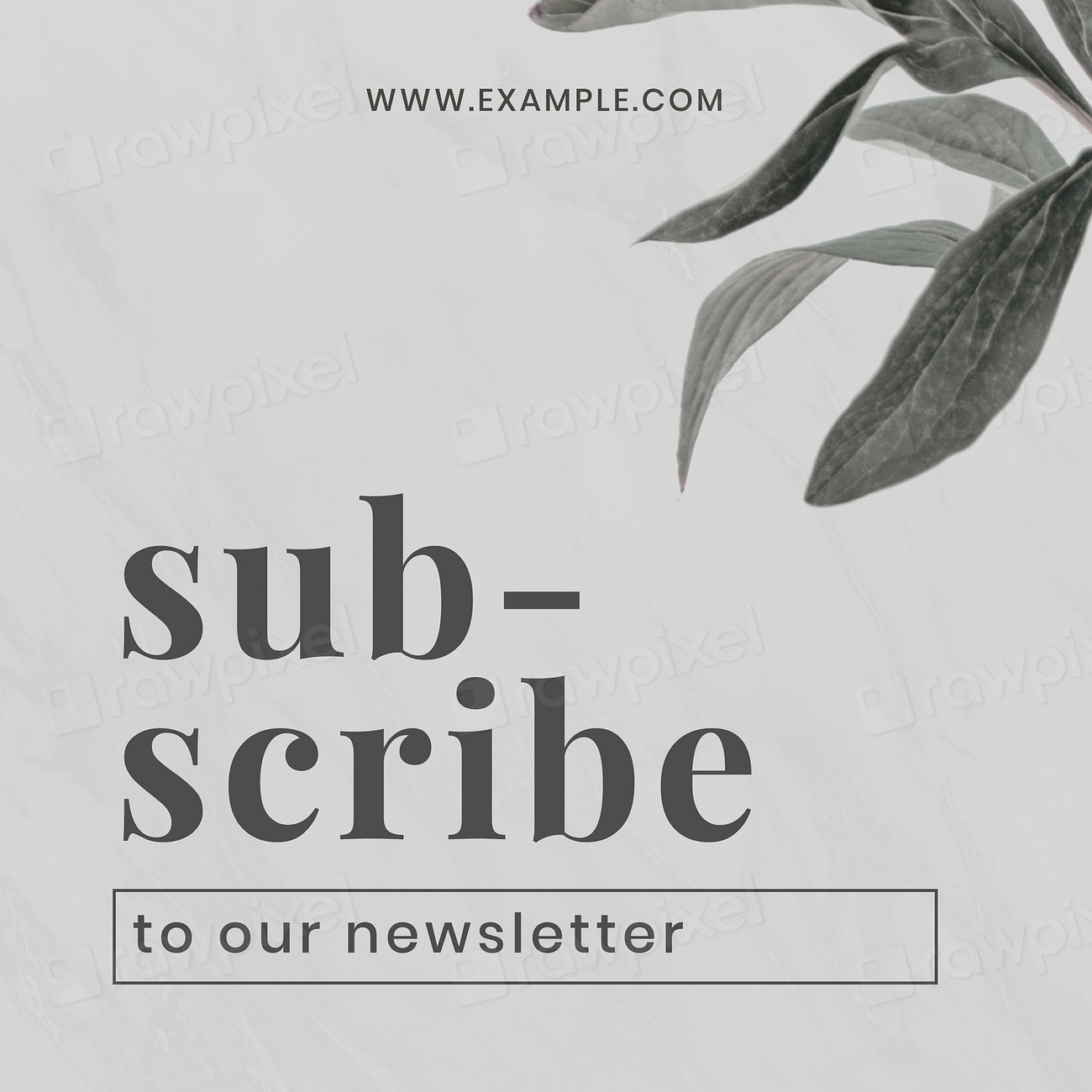 Business subscribe newsletter banner design | Premium Vector Template ...