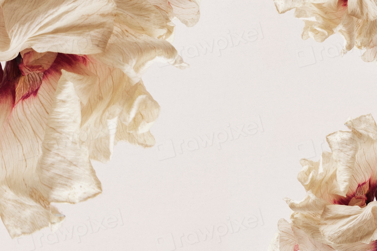 Dried flower frame textured background | Free Photo - rawpixel