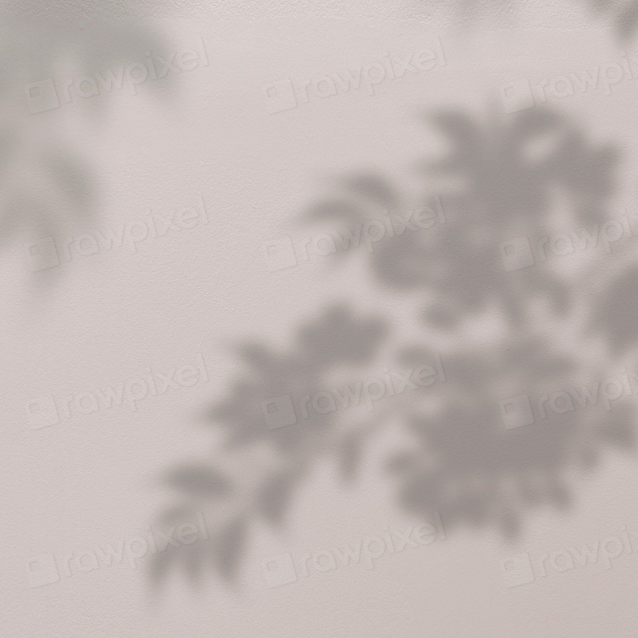 Background psd shadow tree | Premium PSD - rawpixel