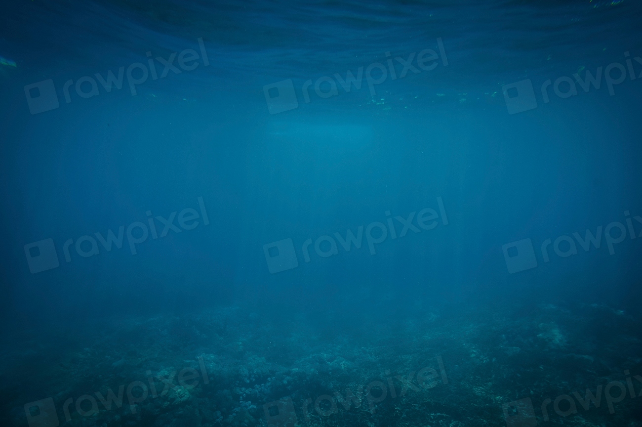 Underwater. Original public domain image | Free Photo - rawpixel