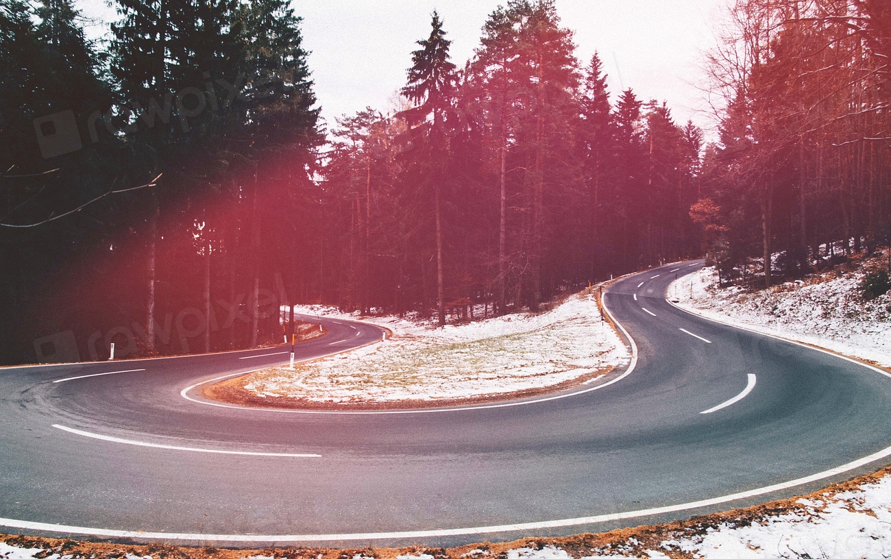Red tint shot curve tree-lined | Free Photo - rawpixel