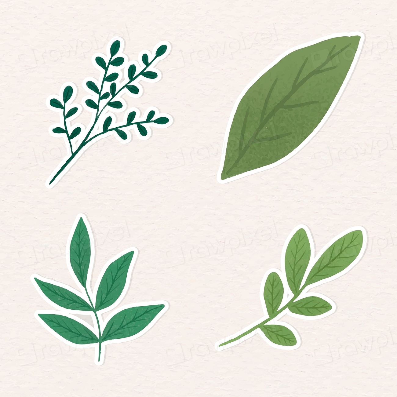 Green leaves sticker collection vector | Premium Vector - rawpixel
