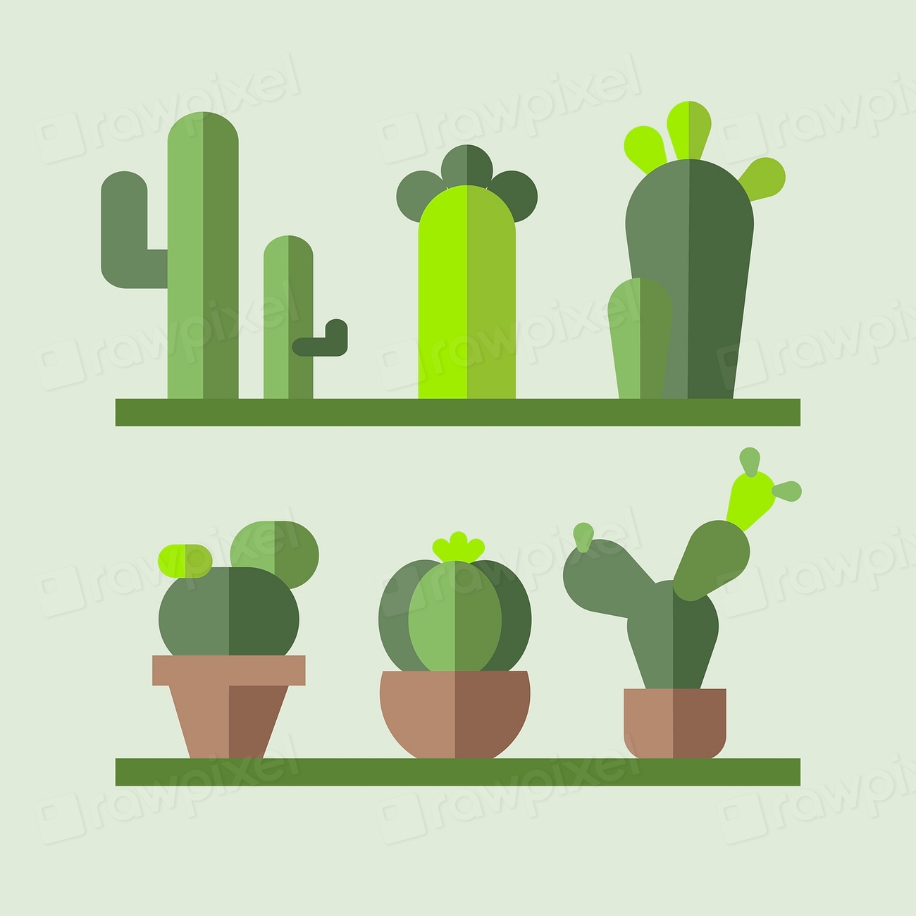 Green botany cactus collection vector | Premium Vector - rawpixel