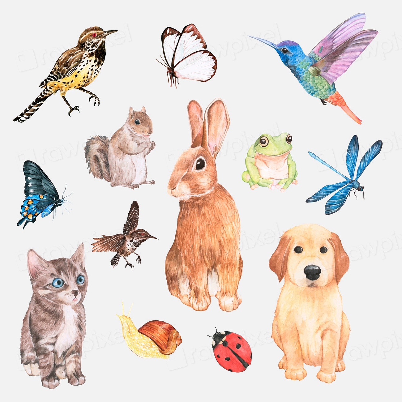 Watercolor animals and insects vector | Premium Vector - rawpixel