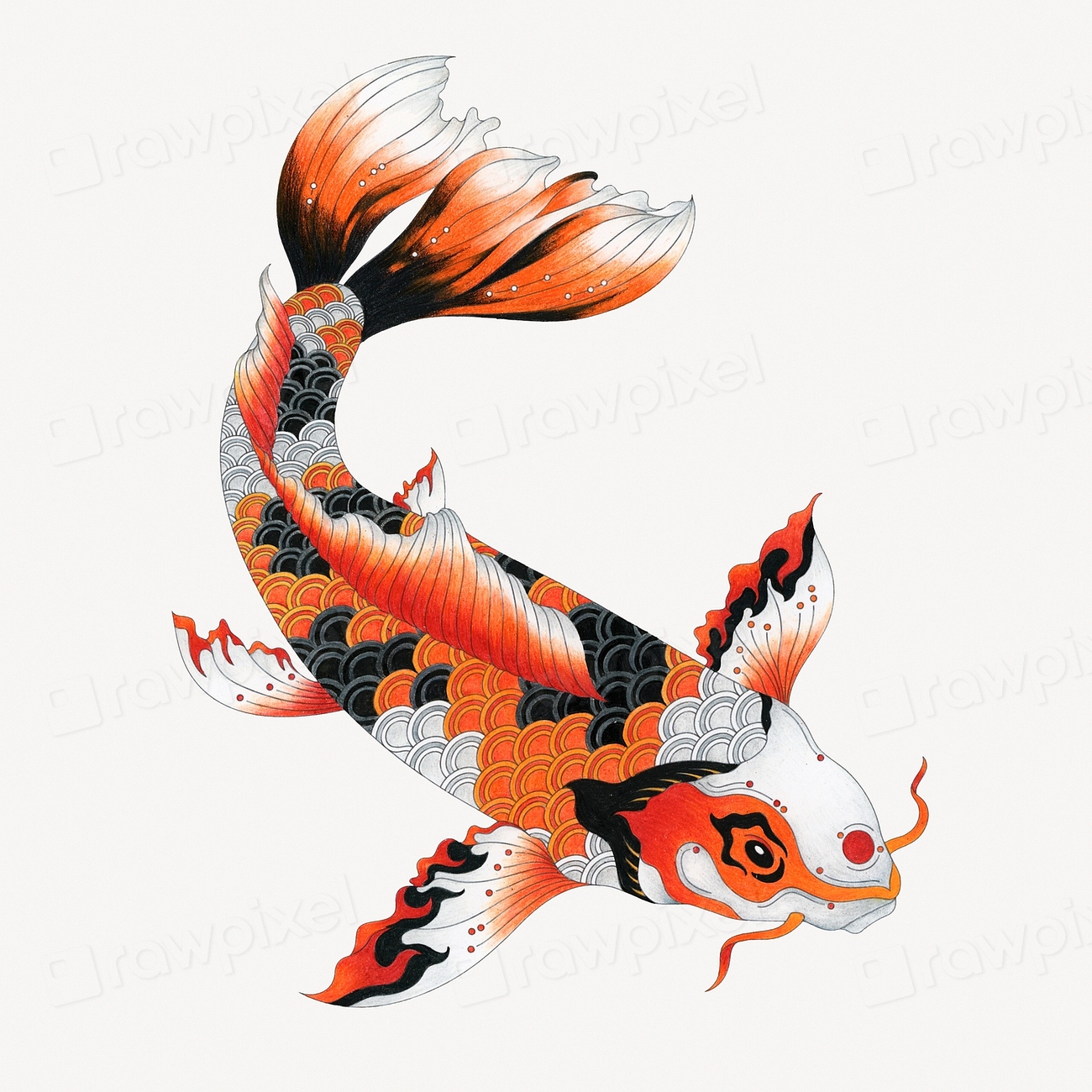 Japanese koi fish sticker, animal | Premium PSD - rawpixel