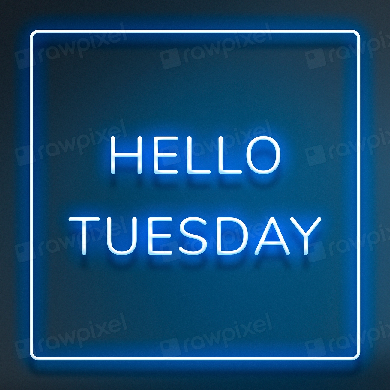 Neon Hello Tuesday typography framed | Free Photo - rawpixel