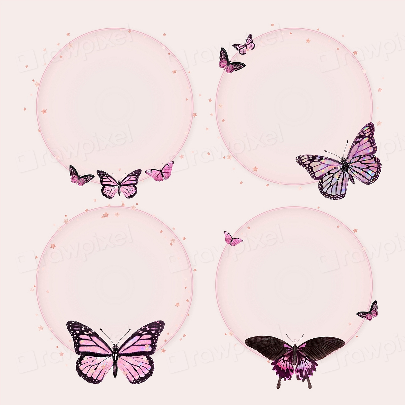 Cute butterfly circle frame vector | Premium Vector - rawpixel