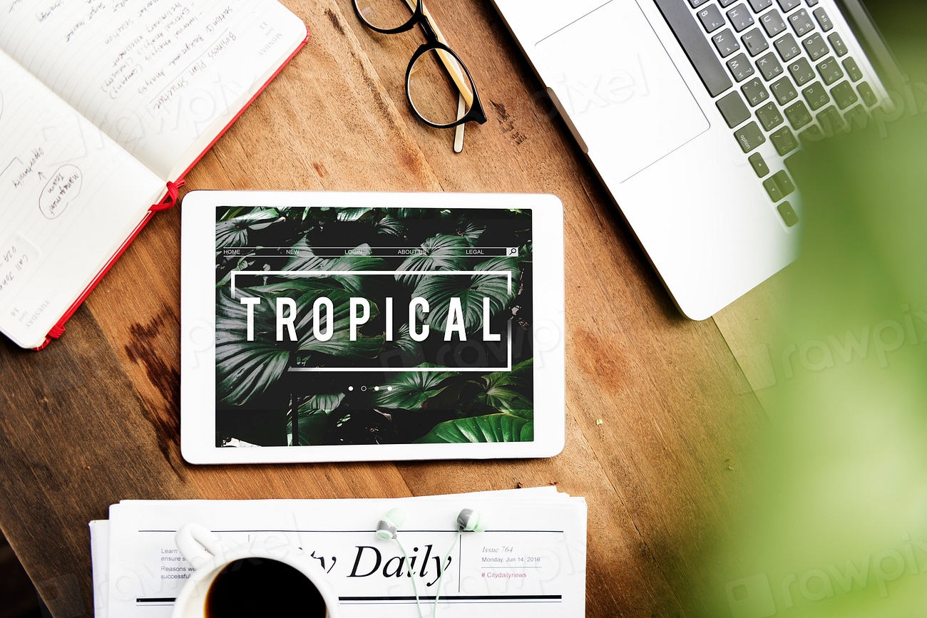 Ecology Fresh Lush Natural Nature | Free Photo - rawpixel