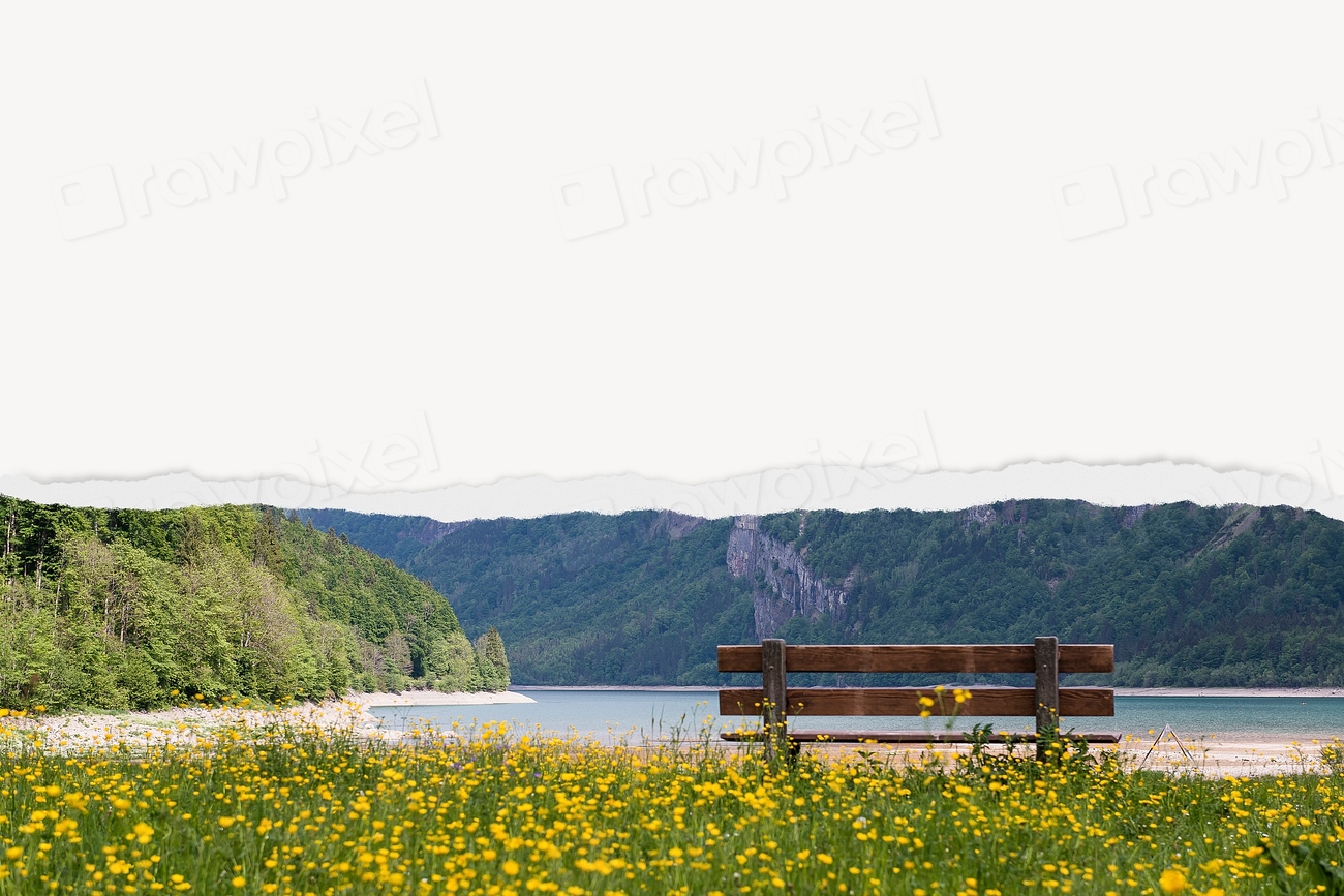 Scenic park bench background, ripped | Premium Photo - rawpixel