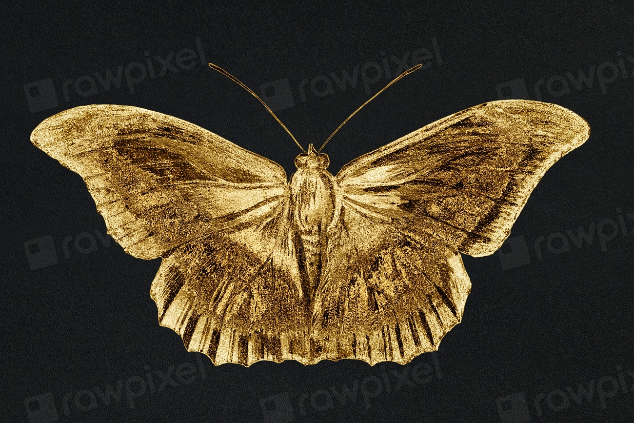 Gold butterfly design element | Premium PSD Illustration - rawpixel