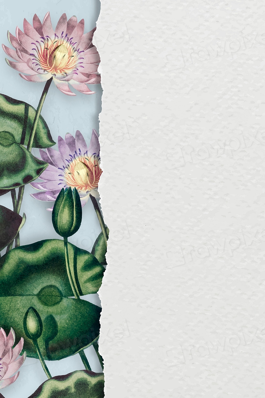 Blank purple water lilies frame | Premium Vector - rawpixel