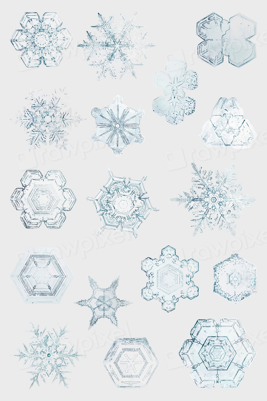 Icy snowflake vector macro photography | Premium Vector - rawpixel