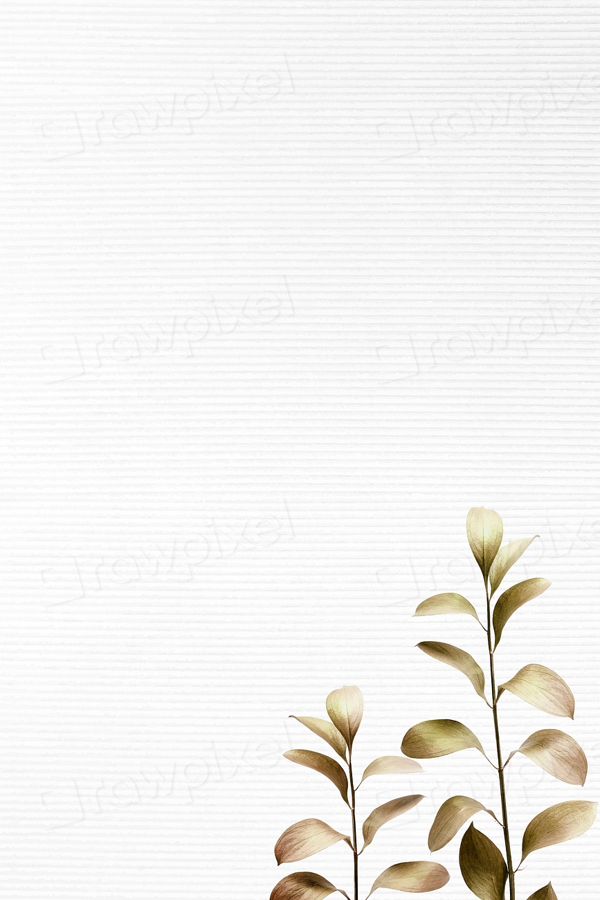 Eucalyptus pattern white background template | Premium Vector - rawpixel