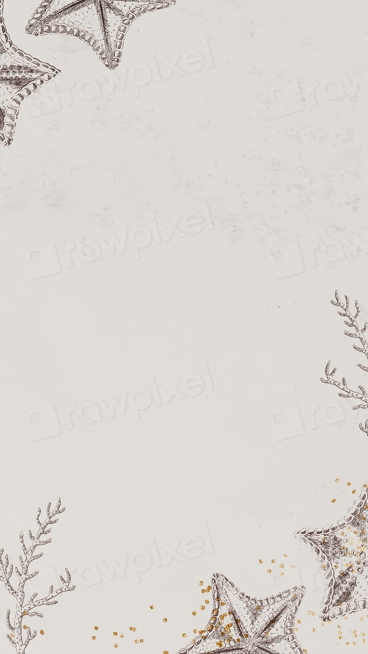 Blank starfish frame design vector | Premium Vector - rawpixel