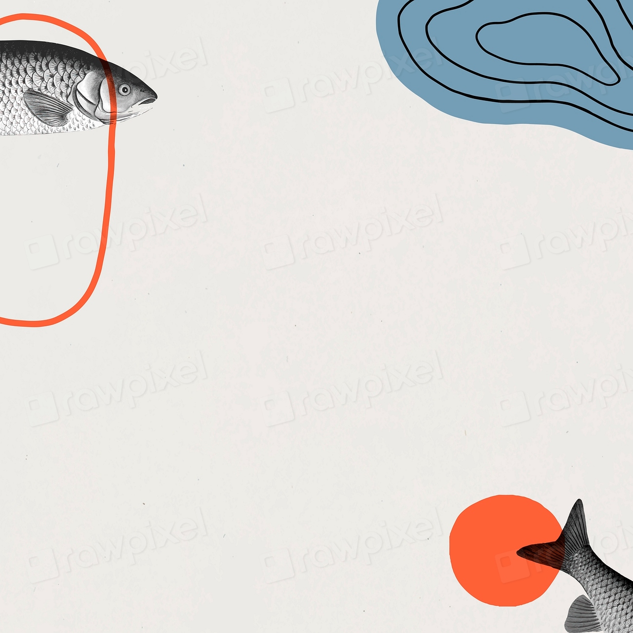 Vintage fish frame art vector | Premium Vector - rawpixel