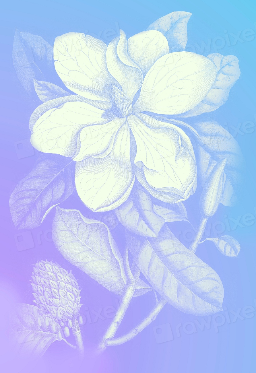 Laurel tree vintage illustration, remix | Premium Photo Illustration ...