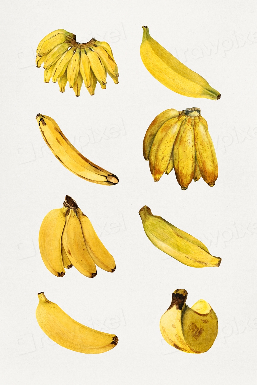 Detailed hand drawn fresh banana | Premium PSD - rawpixel