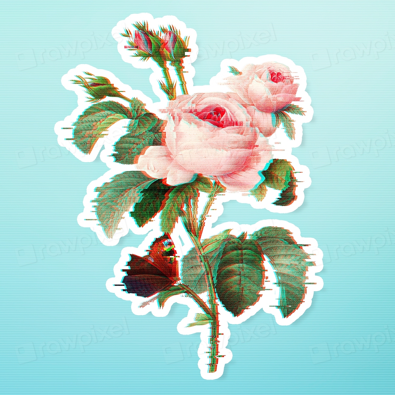 English rose glitch effect sticker | Free PSD - rawpixel