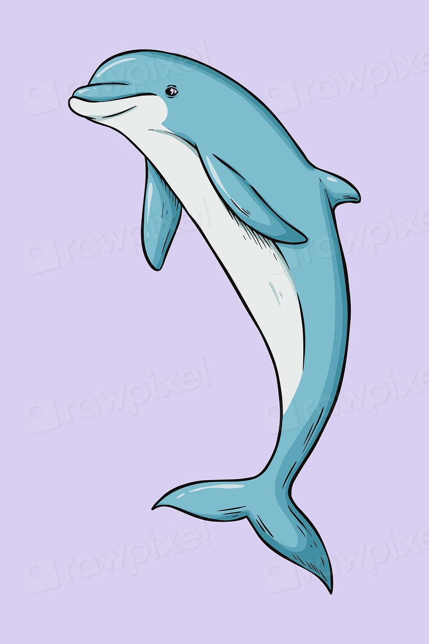 Vintage hand drawn dolphin cartoon | Free Photo Illustration - rawpixel