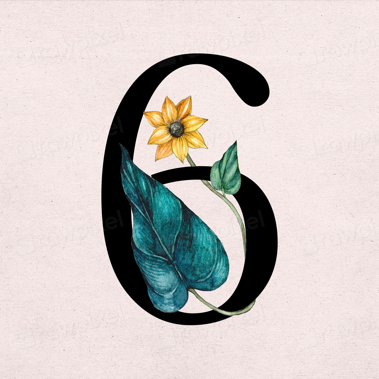 Number 6 font vintage typography | Premium Photo - rawpixel