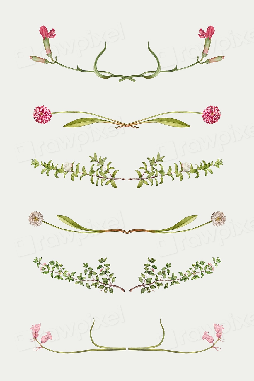 Flower floral flourish design vector | Premium Vector - rawpixel