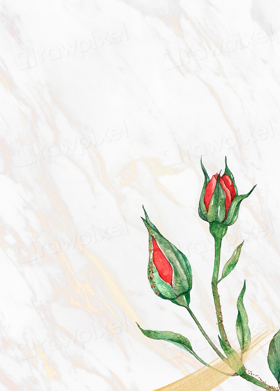 Rose border invitation card | Free Photo - rawpixel