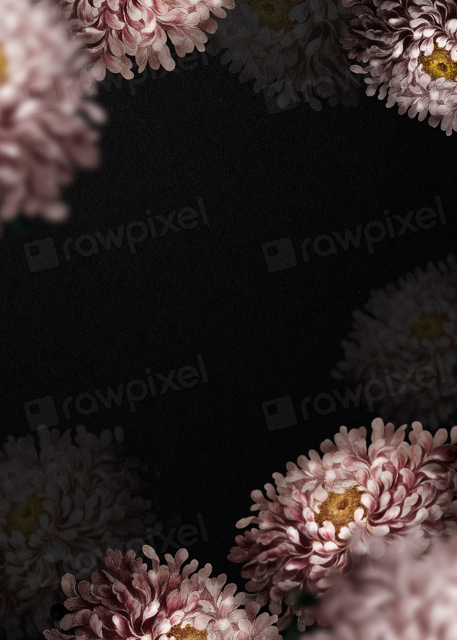 Floral wedding card aster border | Free Photo - rawpixel