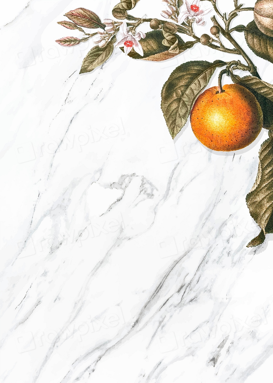 Tropical oranges marble texture vector | Premium Vector - rawpixel