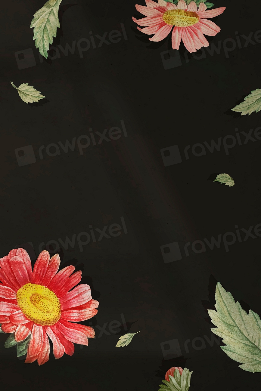 Gerbera daisy pattern frame vector | Premium Vector - rawpixel