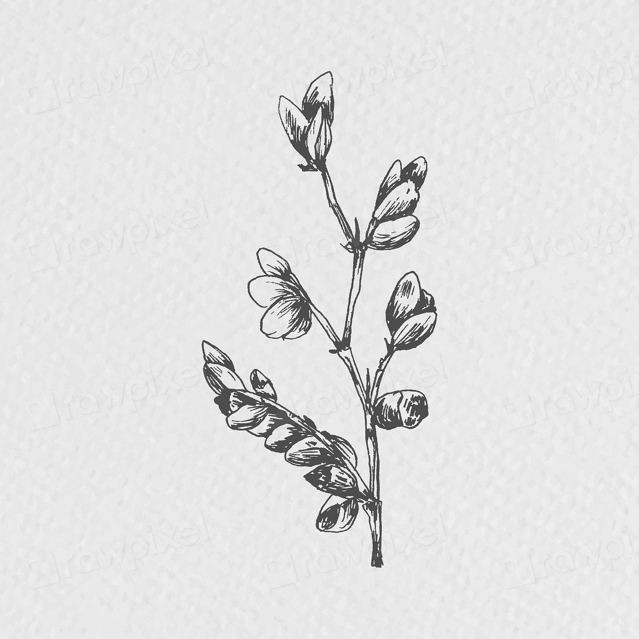Hand drawn flower branch vector | Premium Vector Illustration - rawpixel
