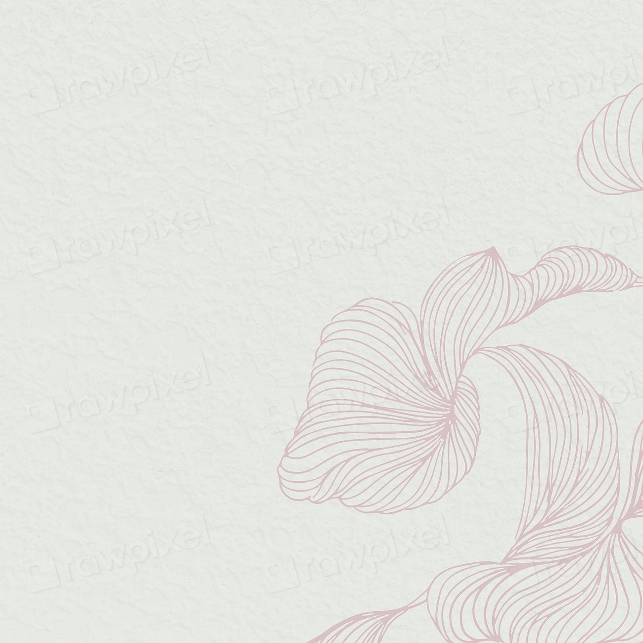 Pink floral swirly frame social | Premium PSD - rawpixel