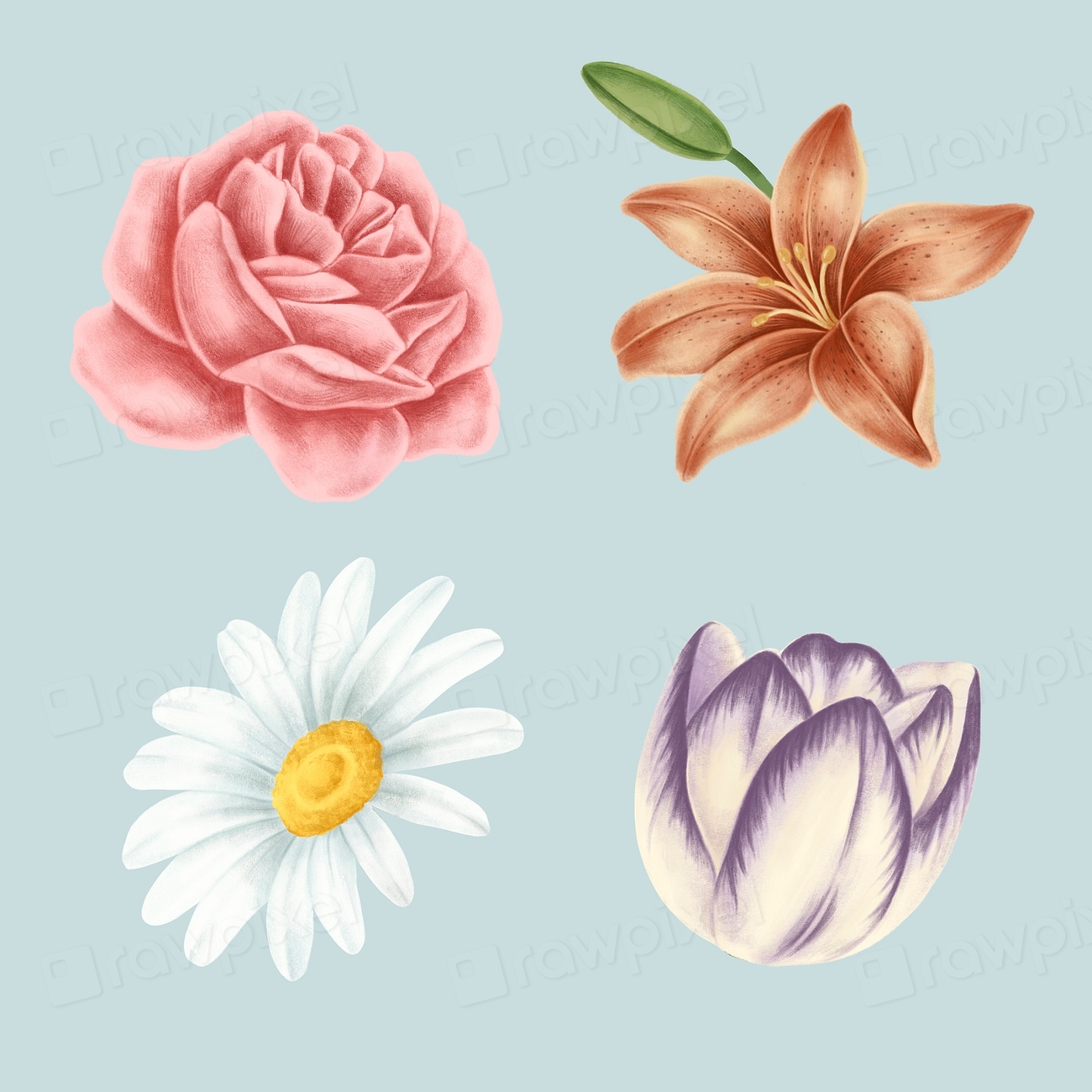 Vintage flower element collection illustration | Premium PSD - rawpixel