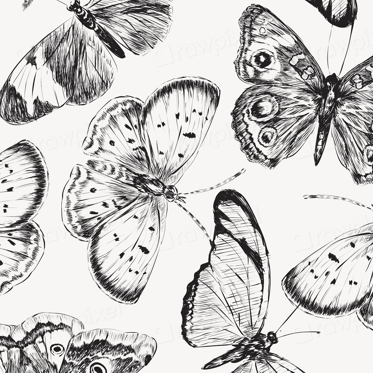 Vintage butterfly pattern, black and | Free Photo - rawpixel