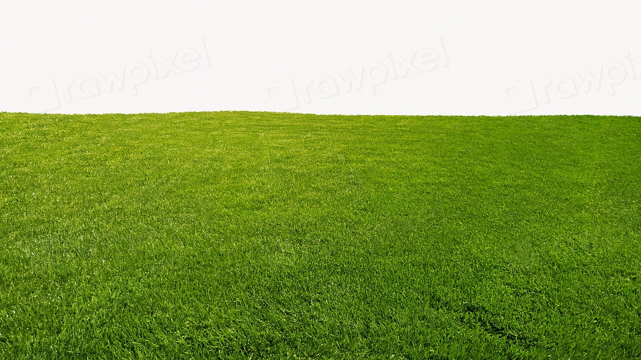 Grass field, nature landscape background | Free Photo - rawpixel