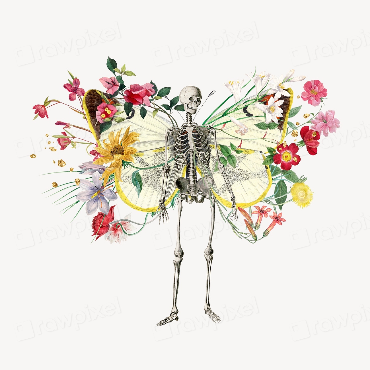 Skeleton botanical remix design element | Free Photo - rawpixel