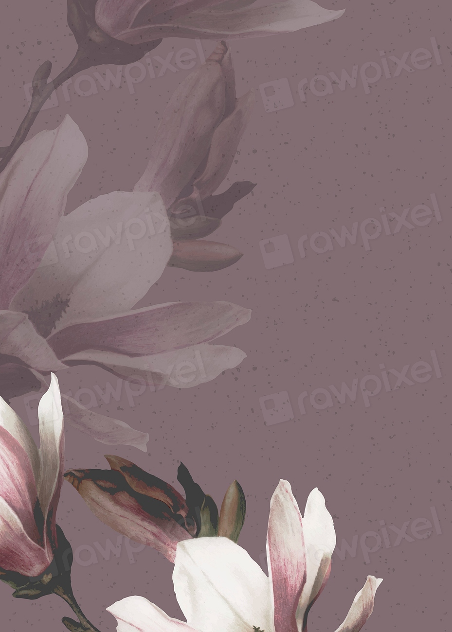 Flower background, magnolia illustration | Premium Photo - rawpixel