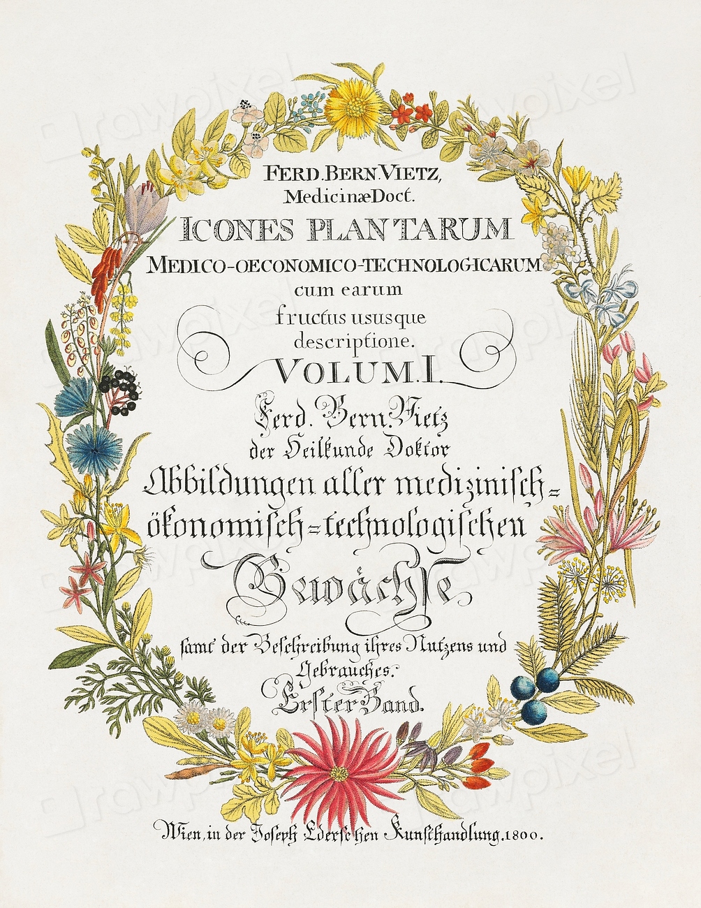 Book frontispiece (1800) vintage prints | Free Photo Illustration ...