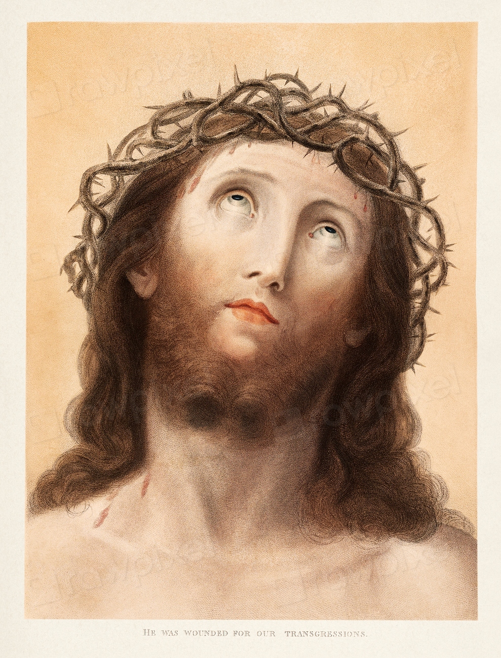 Head Christ (1727-1815) aesthetic stipple | Free Photo Illustration ...