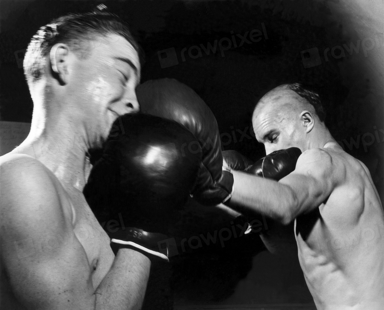 Boxing Oak Ridge | Free Photo - rawpixel