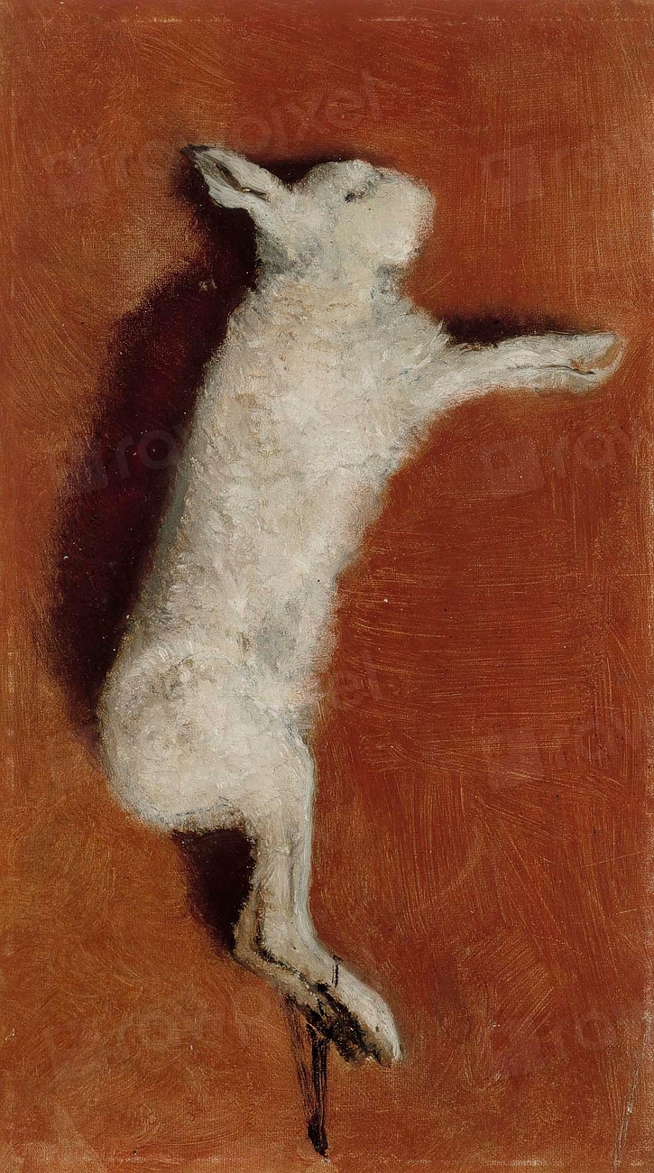 Dead hare, study, 1873, Albert | Free Photo - rawpixel