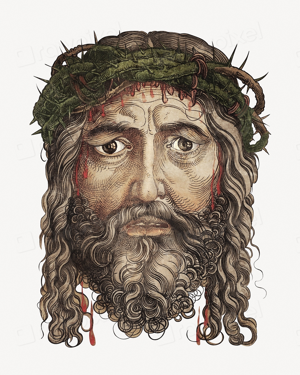 Head of Jesus Christ. | Premium Photo - rawpixel
