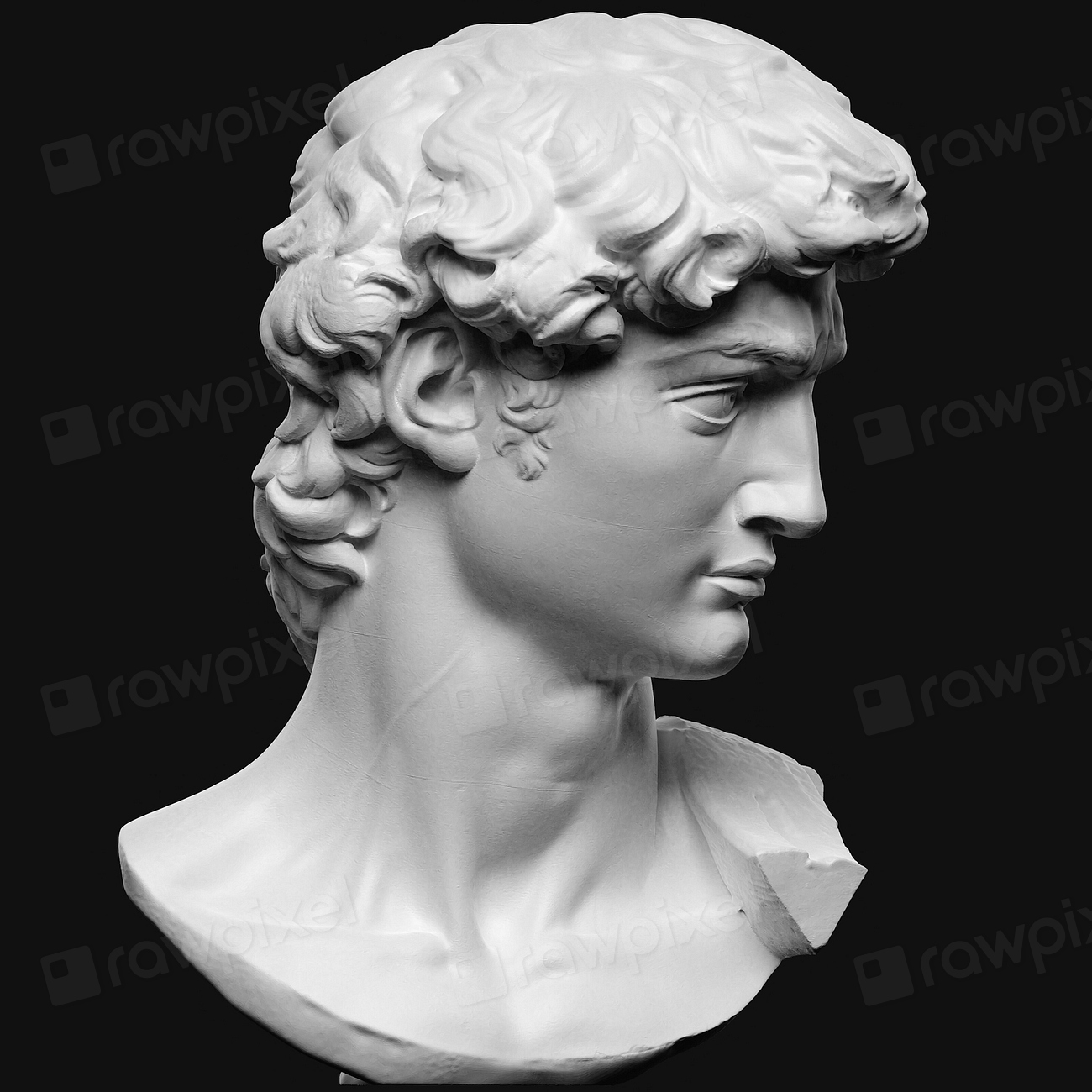 Head statue David Michelangelo Buonarroti | Free Photo - rawpixel